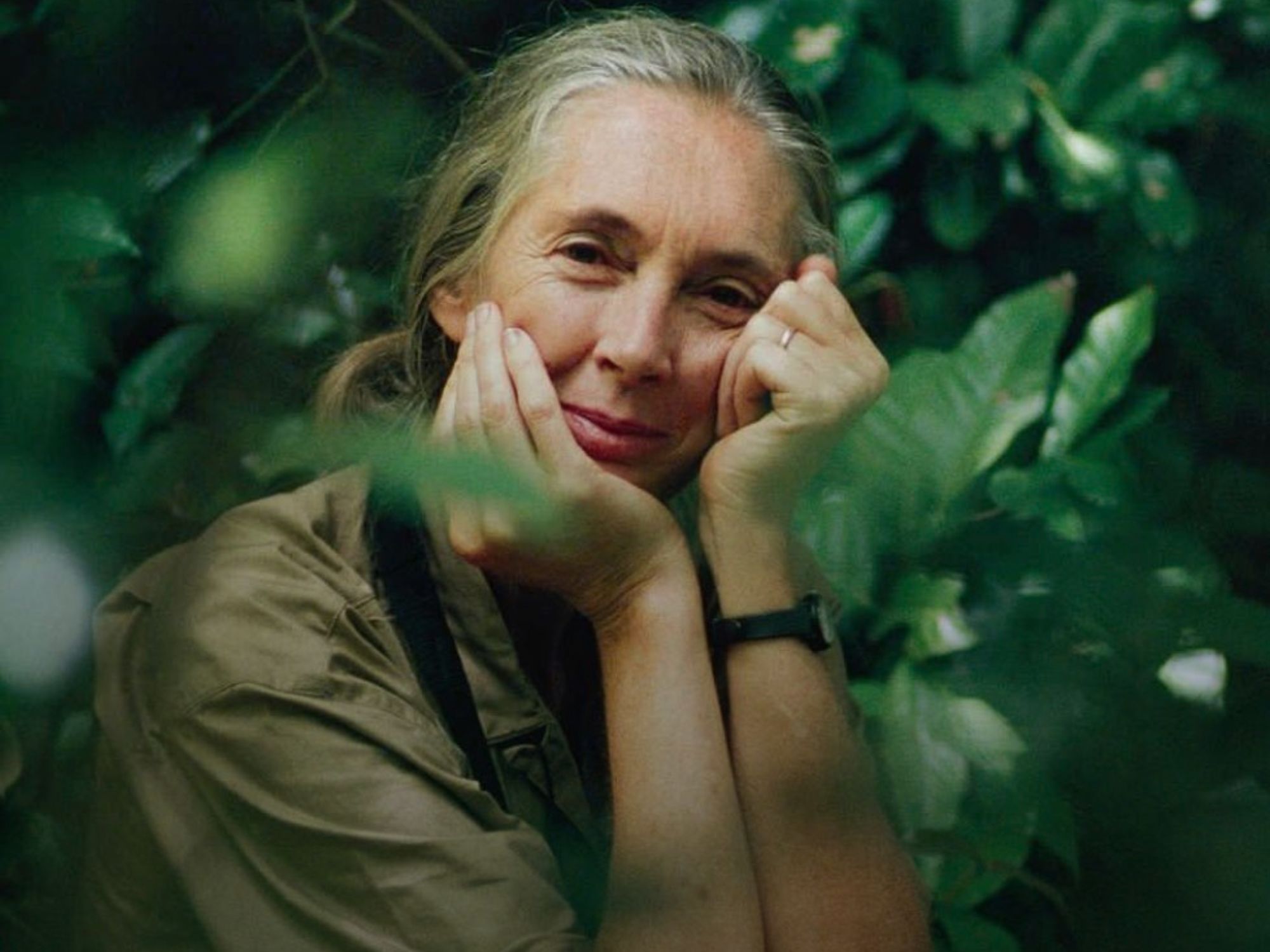 JANE GOODALL: Naučnica koja je proučavala majmune a spoznavala ljude